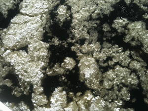 Small chunks of frazil ice make massive ice sheets over the ice meadows ...