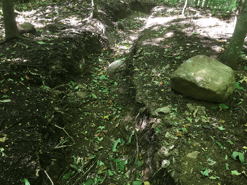 New hiking trails in the High Peaks Wilderness showcase sustainable ...