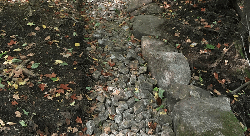 New hiking trails in the High Peaks Wilderness showcase sustainable ...
