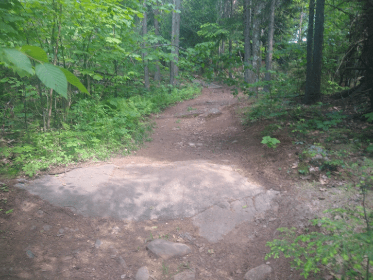 Hike Cat Mountain - Protect the Adirondacks!