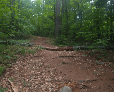 Hike Cat Mountain - Protect the Adirondacks!