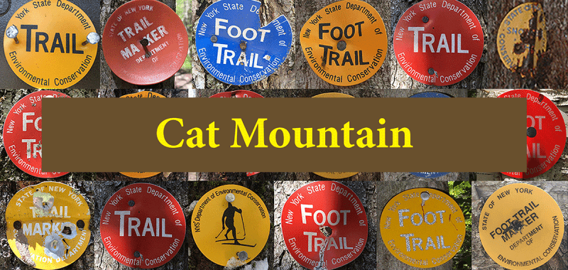 Hike Cat Mountain - Protect the Adirondacks!