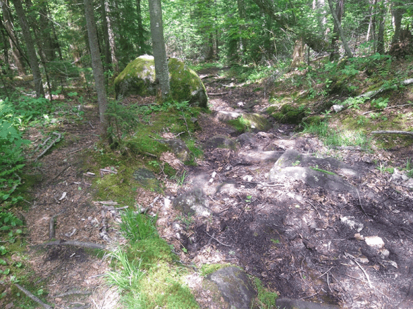 Hike Crane Mountain - Protect the Adirondacks!