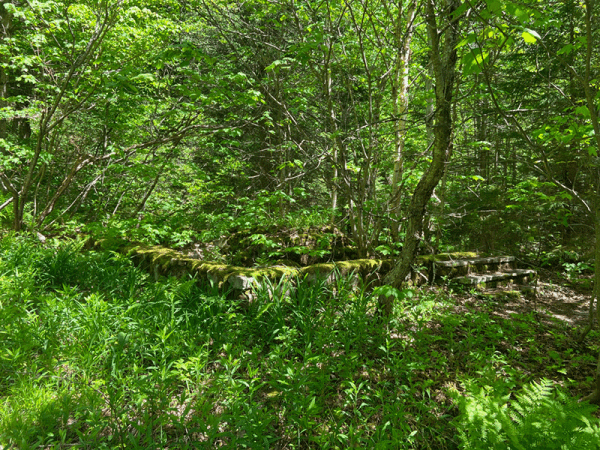 Hike Debar Mountain - Protect the Adirondacks!