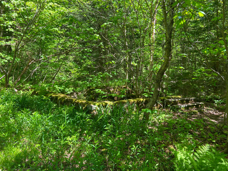 Hike Debar Mountain - Protect the Adirondacks!