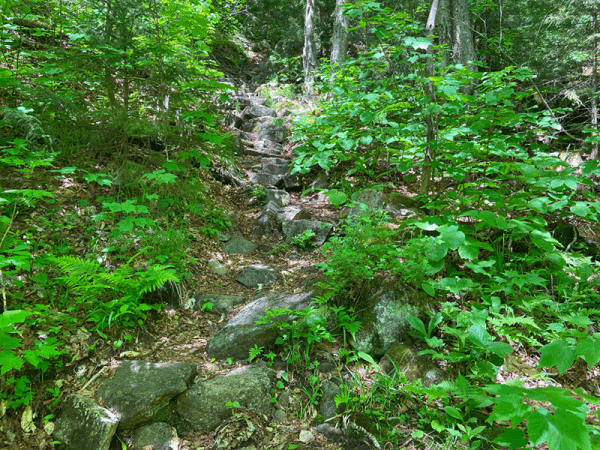 Hike Debar Mountain - Protect the Adirondacks!