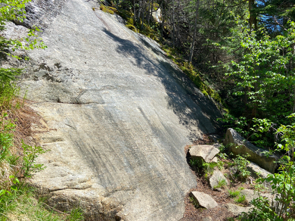 Hike Debar Mountain - Protect the Adirondacks!