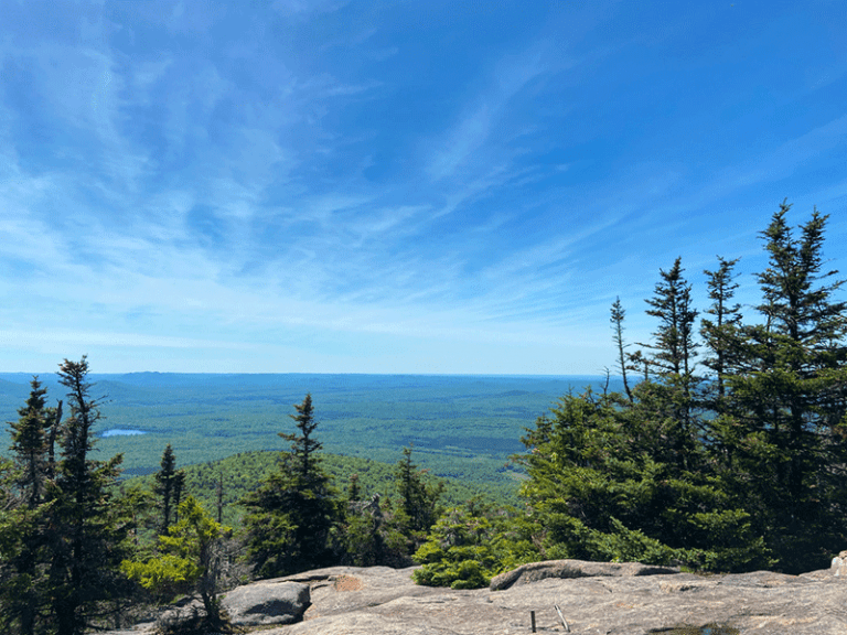 Hike Debar Mountain - Protect the Adirondacks!
