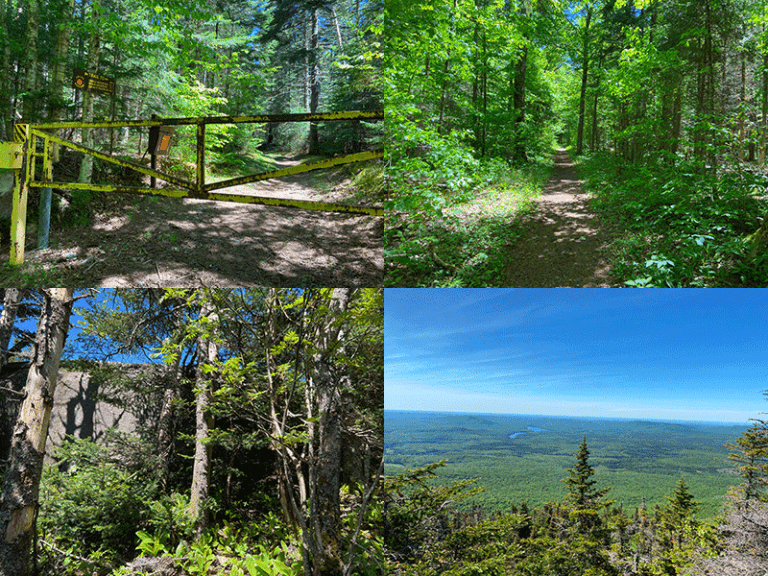 Hike Debar Mountain - Protect the Adirondacks!