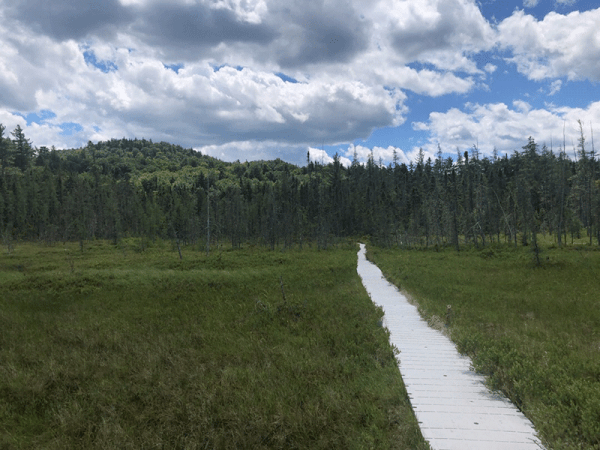 Online Trail Guides for 50 Hikes in the Adirondacks - Protect the ...