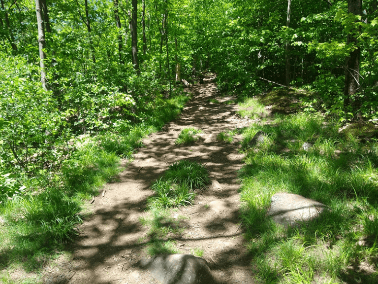 Hike Hadley Mountain - Protect the Adirondacks!