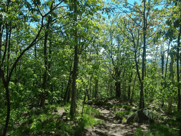 Hike Hadley Mountain - Protect the Adirondacks!