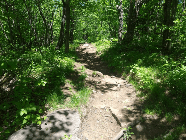 Hike Hadley Mountain - Protect the Adirondacks!