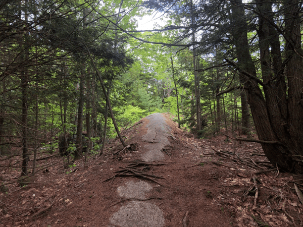 Moxham Mountain is a unique and spectacular hike that includes a dozen ...