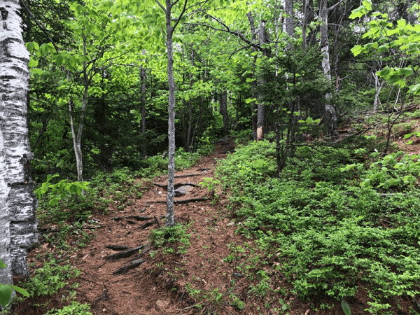 Moxham Mountain is a unique and spectacular hike that includes a dozen ...