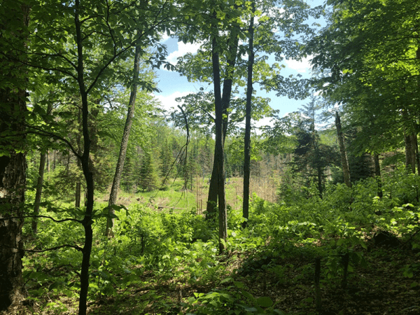 Moxham Mountain is a unique and spectacular hike that includes a dozen ...