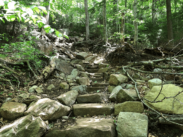 Panther Mountain (Echo Cliffs) is a short hike to a great view of Piseco Lake and the southern ...