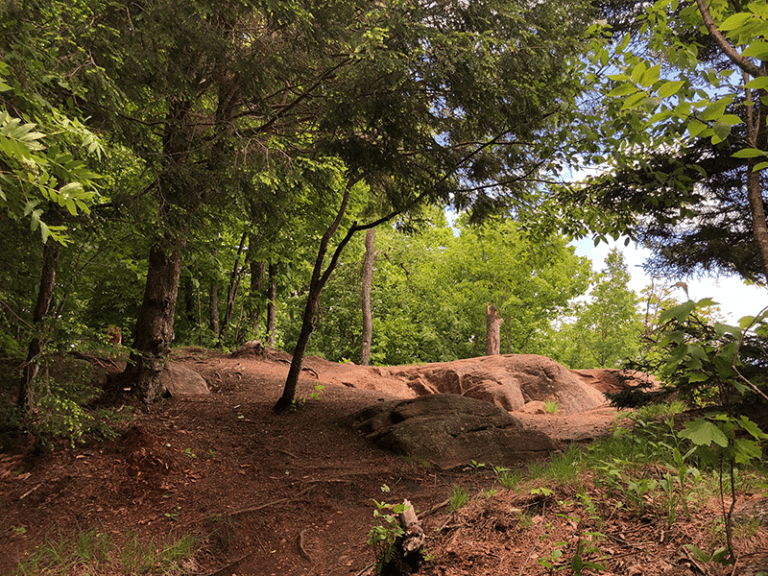 Panther Mountain (Echo Cliffs) is a short hike to a great view of Piseco Lake and the southern ...