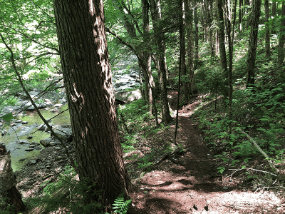 Tenant Falls is a short, popular hike to three beautiful waterfalls and ...