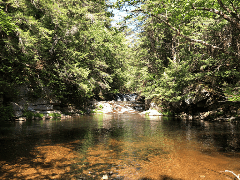 Tenant Falls is a short, popular hike to three beautiful waterfalls and ...