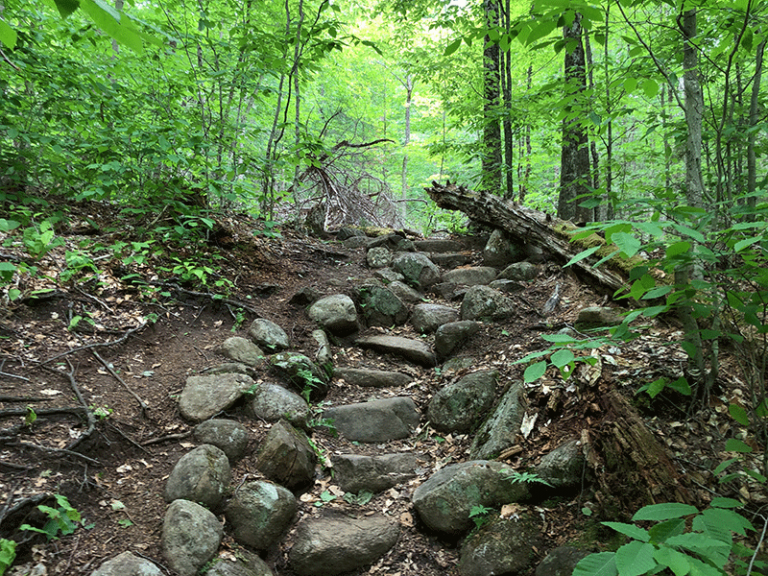 Hike Chimney Mountain - Protect the Adirondacks!
