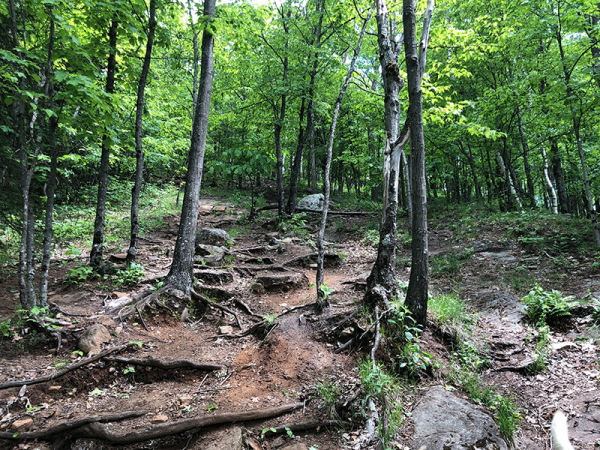 Hike Chimney Mountain - Protect the Adirondacks!