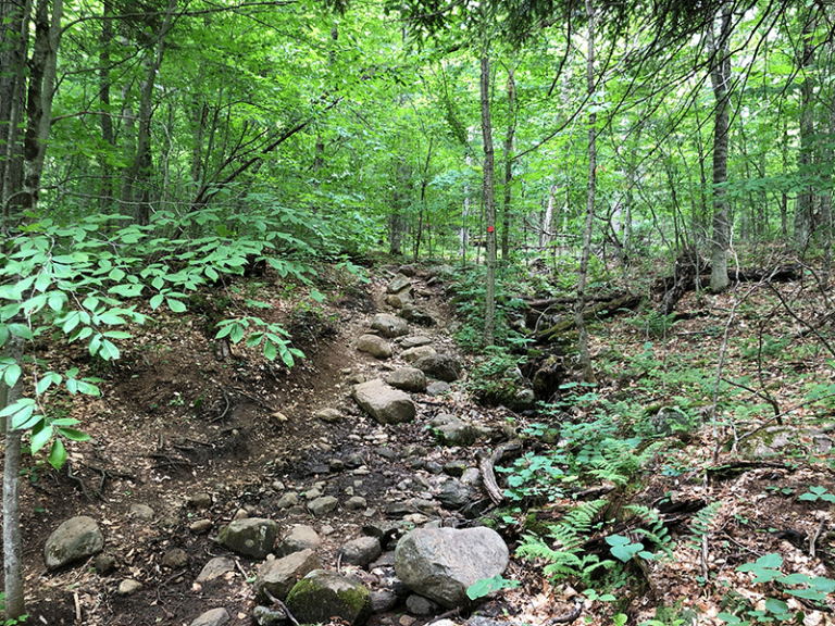 Hike Chimney Mountain - Protect the Adirondacks!