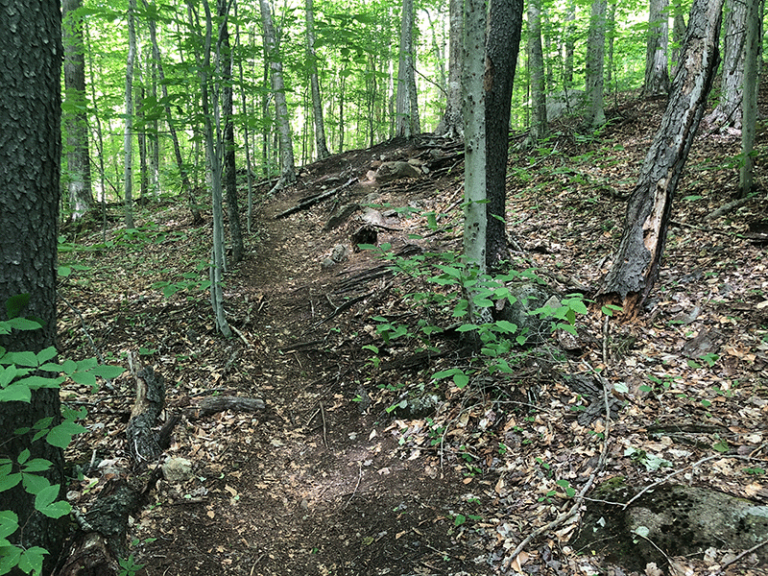 Hike Haystack Mountain - Protect the Adirondacks!