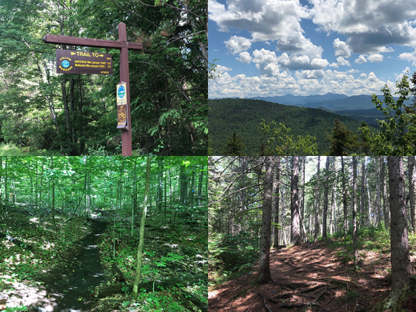 Hike Haystack Mountain - Protect the Adirondacks!
