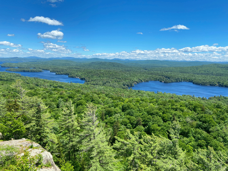 Hike Bald (Rondaxe) Mountain - Protect the Adirondacks!