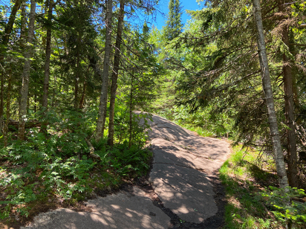 Hike Bald (Rondaxe) Mountain - Protect the Adirondacks!