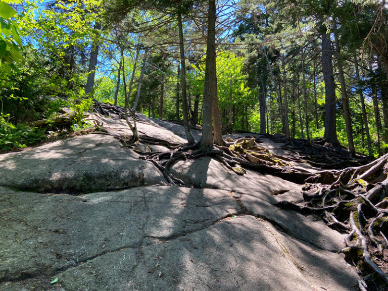 Hike Bald (Rondaxe) Mountain - Protect the Adirondacks!