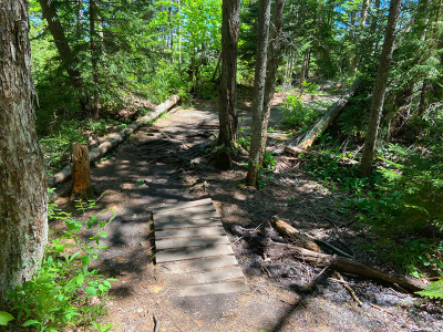 Hike Bald (Rondaxe) Mountain - Protect the Adirondacks!