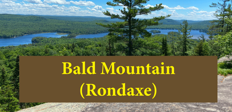 Hike Bald (Rondaxe) Mountain - Protect the Adirondacks!