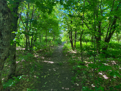 Hike Azure Mountain - Protect the Adirondacks!