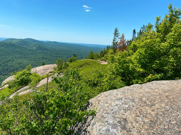 Hike Azure Mountain - Protect the Adirondacks!