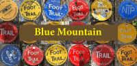 Hike Blue Mountain - Protect the Adirondacks!