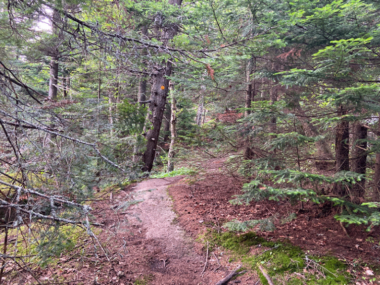 Hike Catamount Mountain - Protect the Adirondacks!