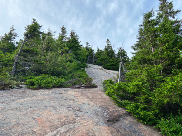 Hike Catamount Mountain - Protect the Adirondacks!