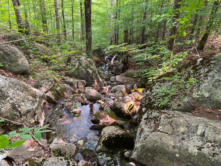 Hike Catamount Mountain - Protect the Adirondacks!