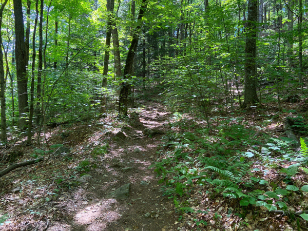 Hike Five Mile Mountain - Protect the Adirondacks!
