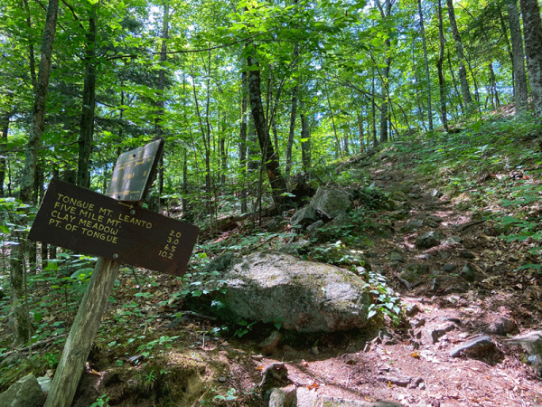 Hike Five Mile Mountain - Protect the Adirondacks!