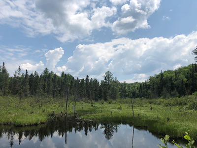 Hike Floodwood Mountain - Protect the Adirondacks!