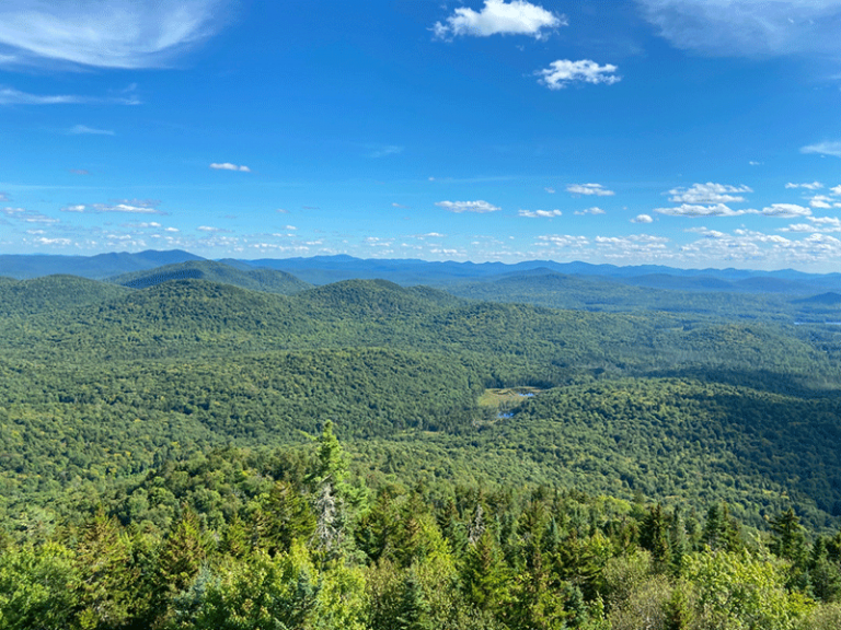 Hike Goodnow Mountain - Protect the Adirondacks!