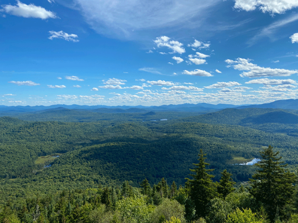 Hike Goodnow Mountain - Protect the Adirondacks!