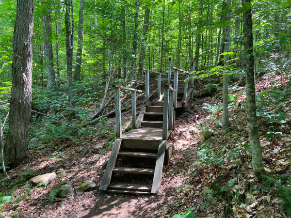 Hike Goodnow Mountain - Protect the Adirondacks!