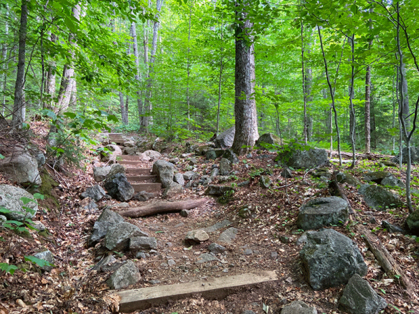 Hike Goodnow Mountain - Protect the Adirondacks!