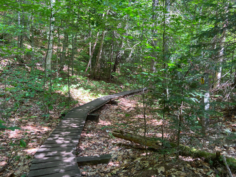 Hike Goodnow Mountain - Protect the Adirondacks!