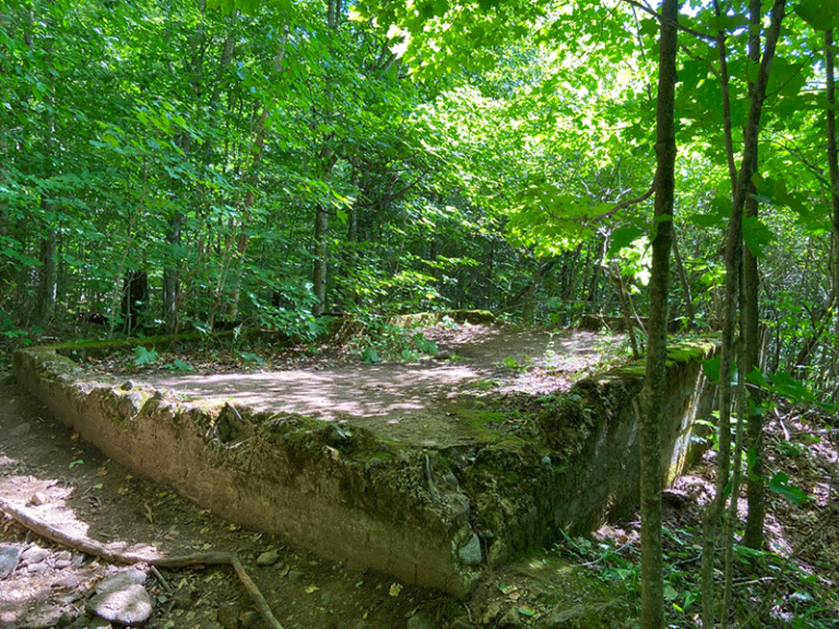 Hike Goodnow Mountain - Protect the Adirondacks!