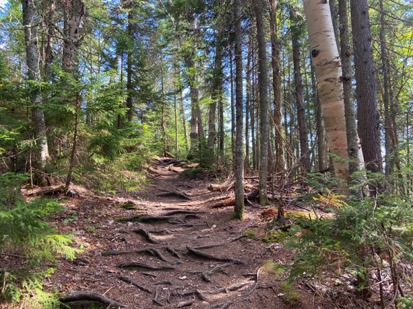 Hike Goodnow Mountain - Protect the Adirondacks!
